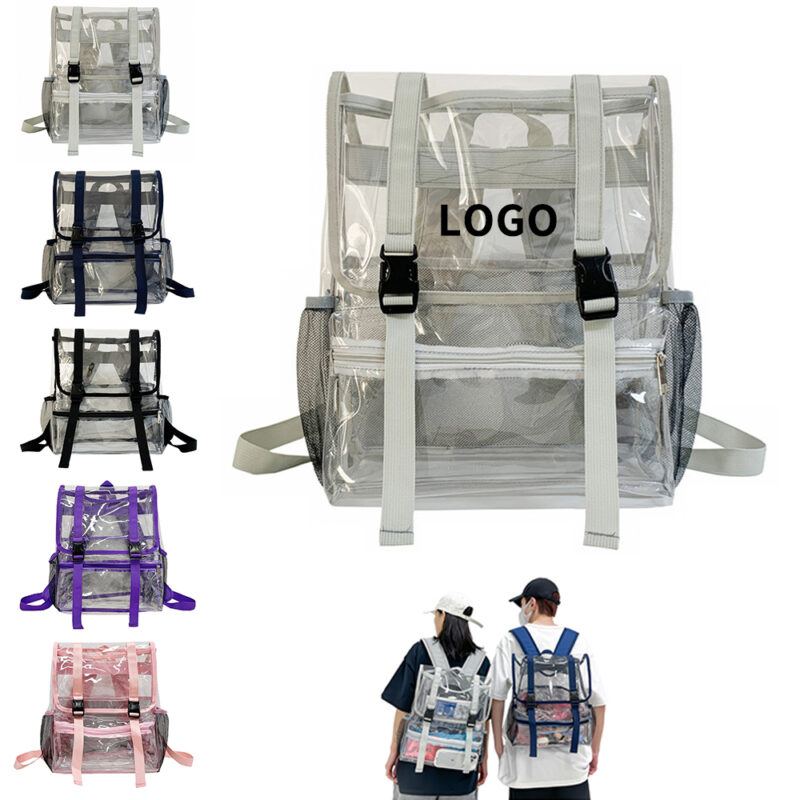 Custom Logo Transparent Multi Compartment Daypack
